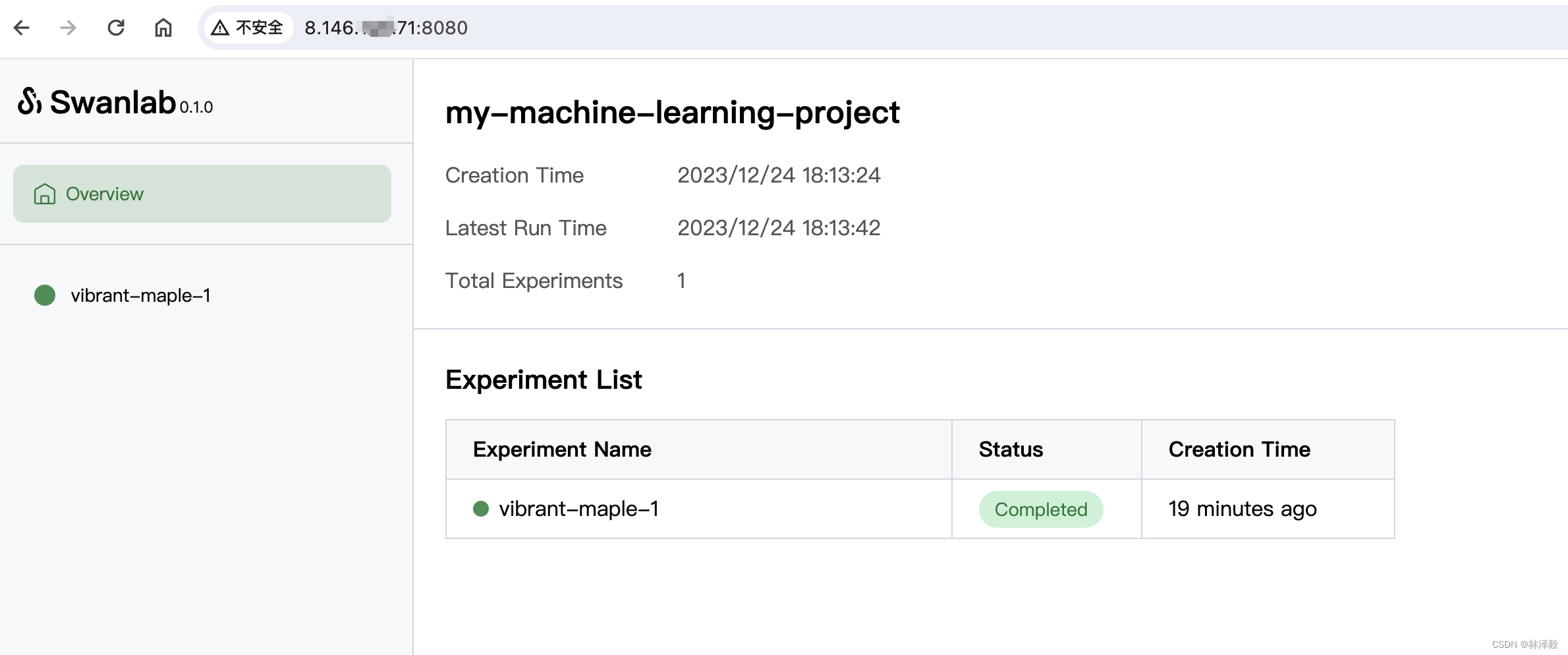 如何远程访问SwanLab实验看板_swanlab登录-CSDN博客