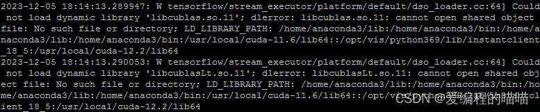 Could not load dynamic library ‘libcublas.so.11‘； dlerror: libcublas.so.11: cannot open shared解决 ...