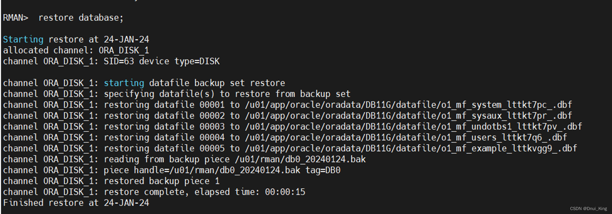 oracle RMAN备份恢复实操_oracle rman恢复-CSDN博客