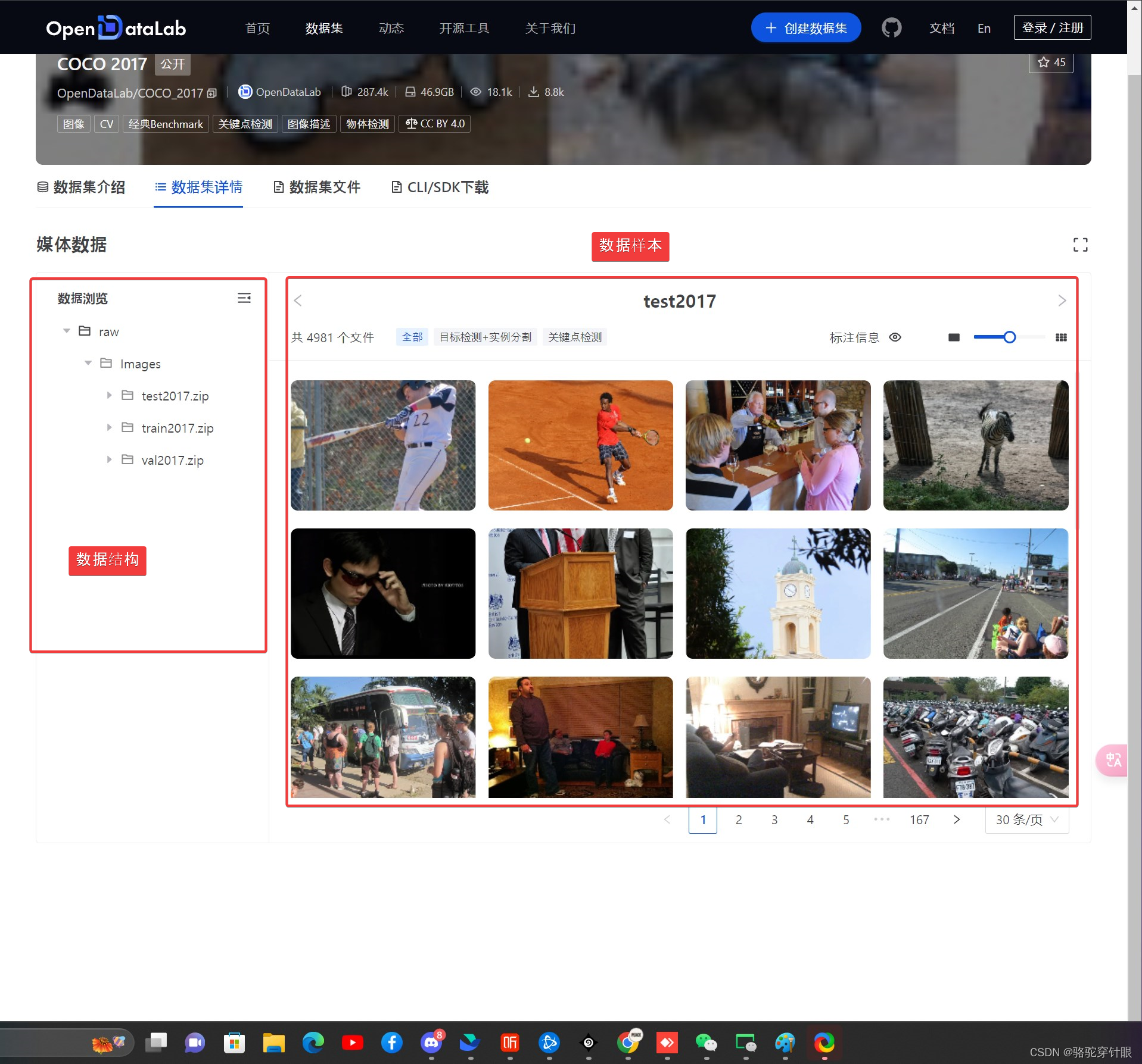 COCO2017 数据集的下载方法_coco2017数据集下载-CSDN博客