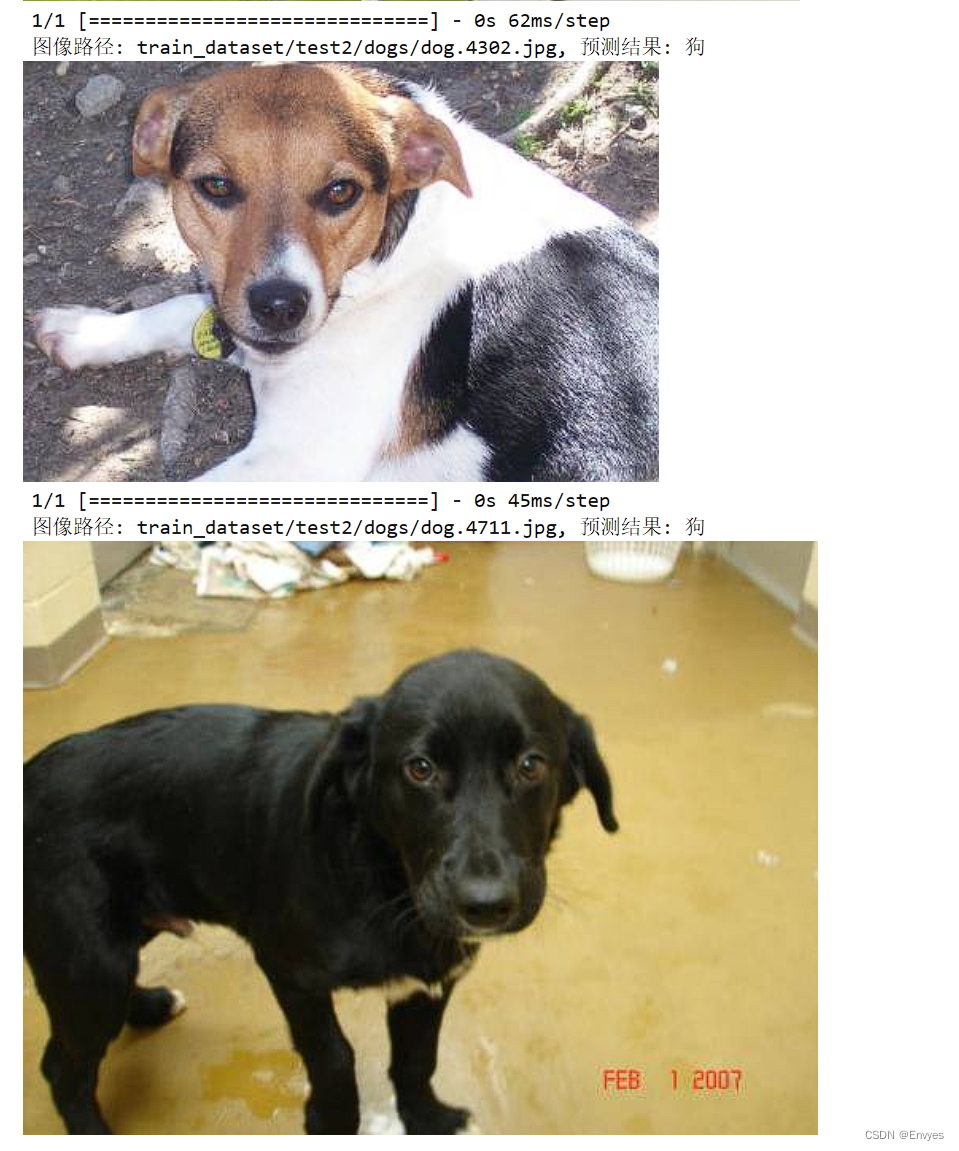 Cats vs Dogs 识别图像-CSDN博客