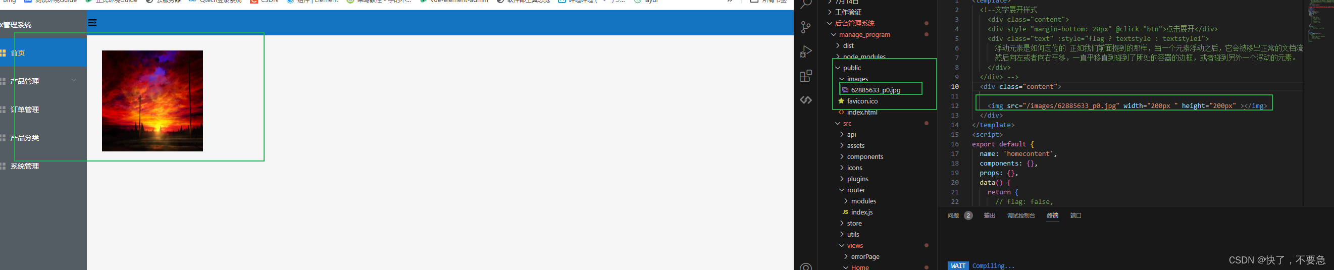 Vue中public/assets目录区别_vue assets-CSDN博客