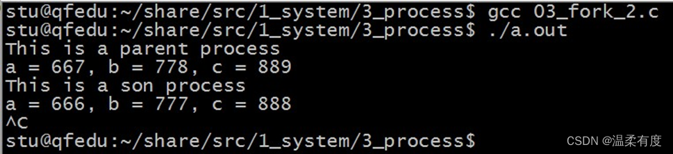 fork函数与vfork函数_vfork fork-CSDN博客