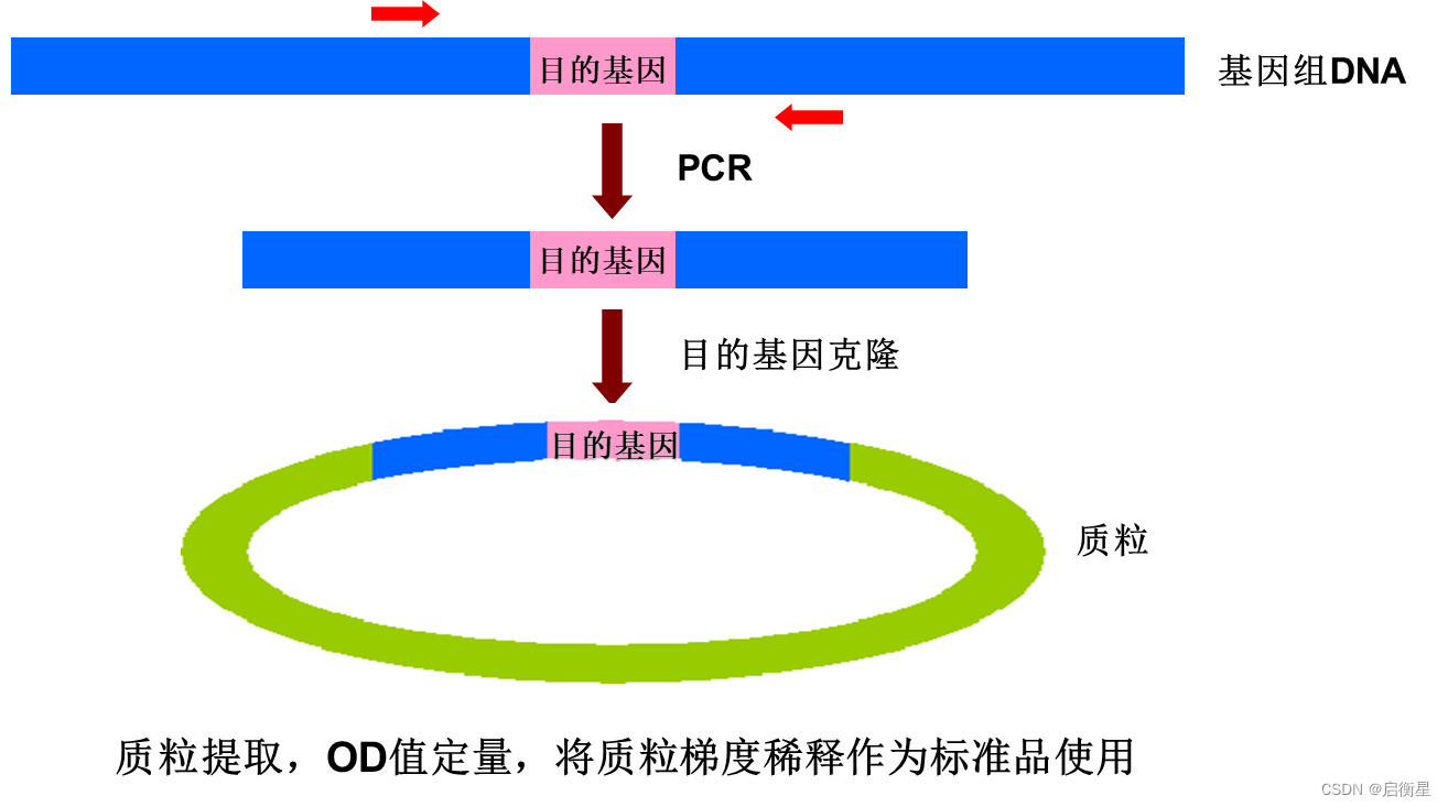 qPCR 数据分析_qpcr数据处理公式-CSDN博客