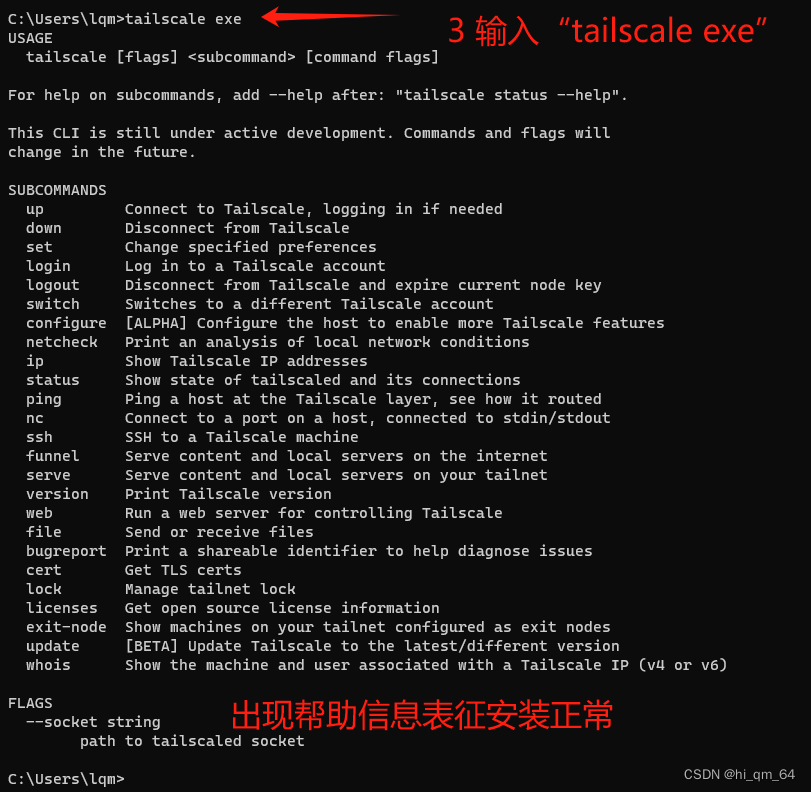 20240124 Tailscale加入合作伙伴局域网_tailscale 怎么邀请-CSDN博客