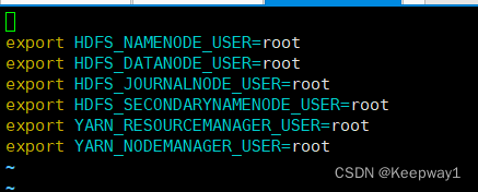 VMware虚拟机Centos7的Hadoop集群搭建中遇到的问题_hadoop在centos安装了运行不出来-CSDN博客
