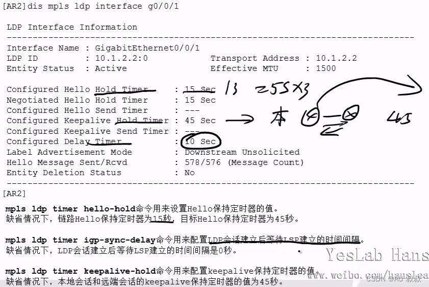3.LDP扩展特性-CSDN博客