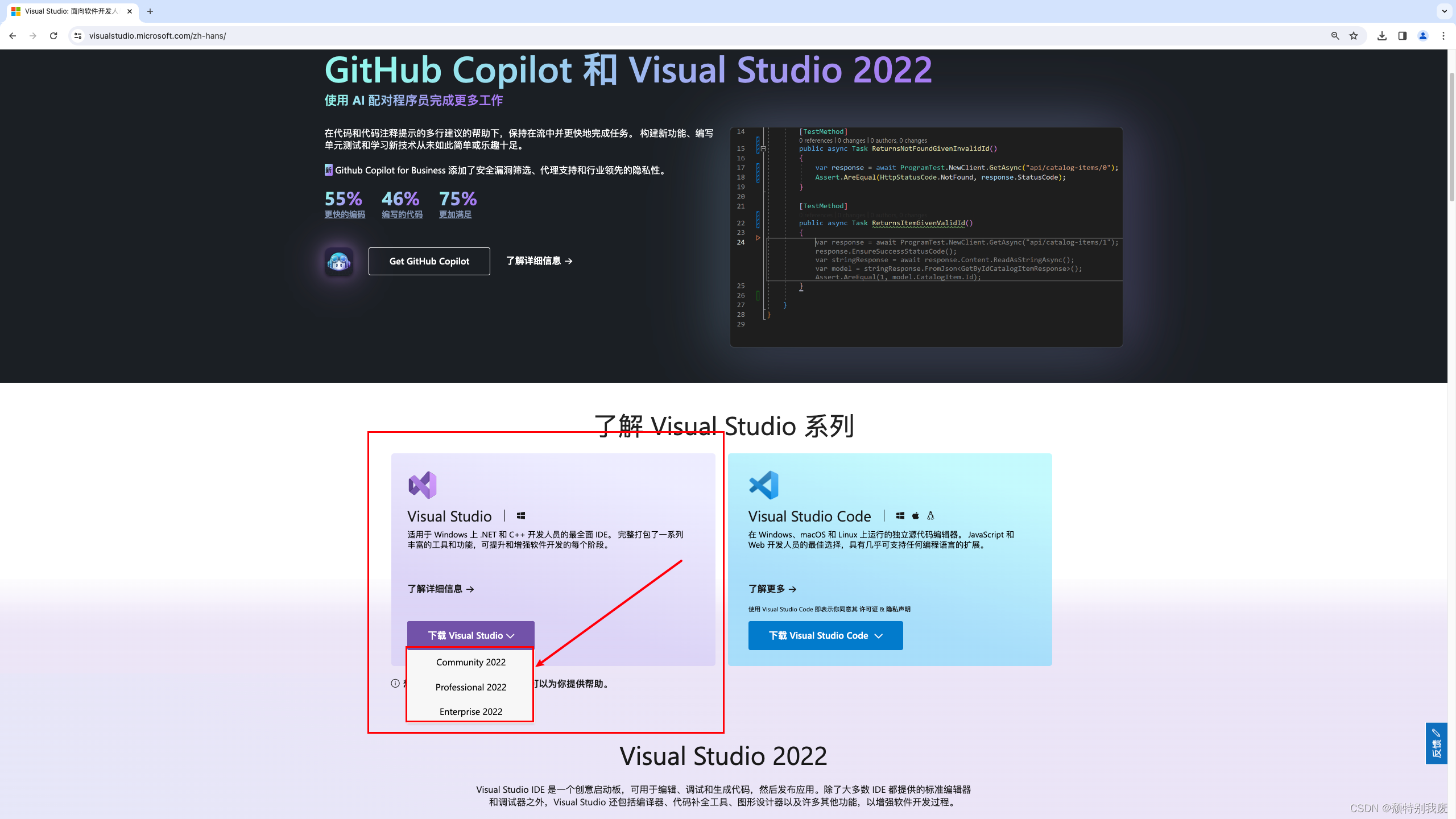 Visual Studio软件安装教程（附下载链接）_visual studio professional 2019-CSDN博客