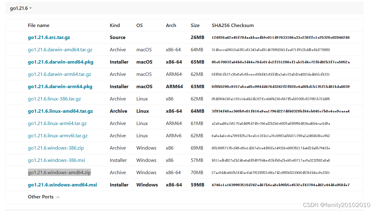 Go安装和配置_go1.21.6-CSDN博客