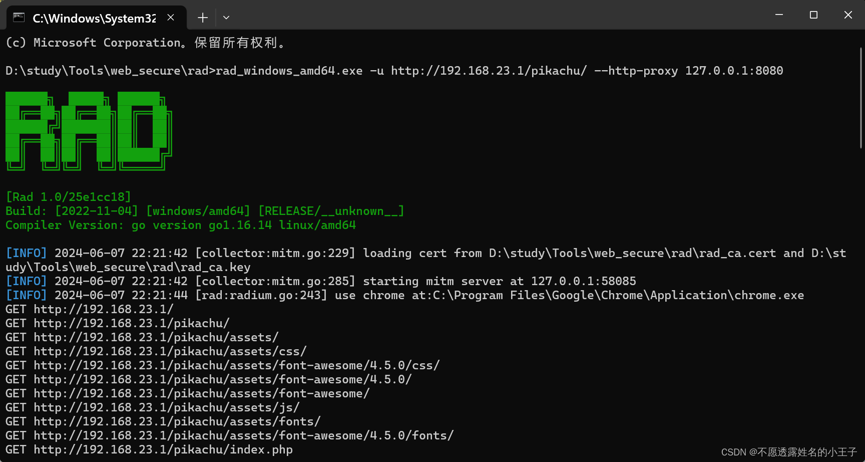 被动扫描联动rad+burpsuite（插件堆满）+xray_rad+burp+xray联动-CSDN博客