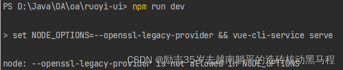Npm Run Dev报错:> Set Nodeoptions Openssl Legacy Provider Andand Vue Cli Service Servenode Csdn博客