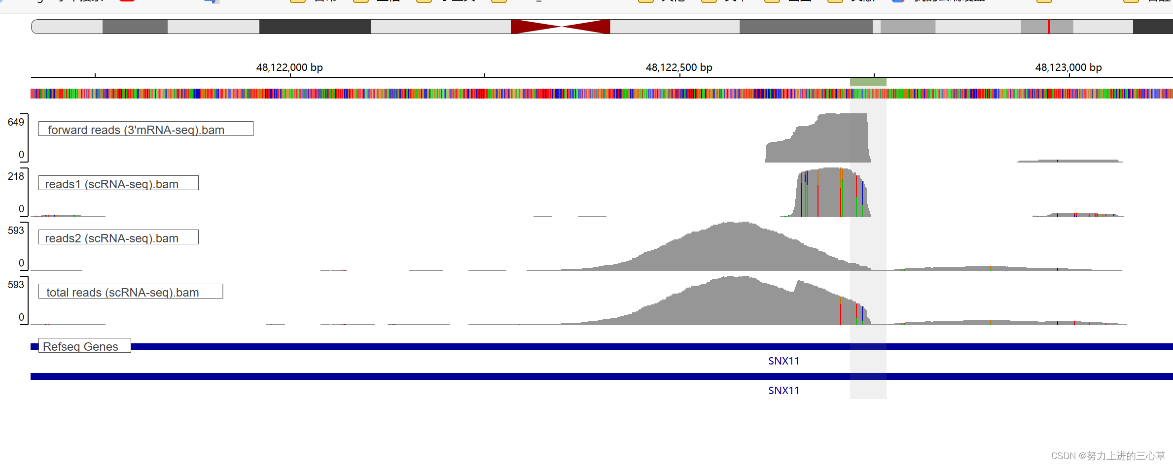 如何在文章中展示高清的IGV图片_igv图怎么看-CSDN博客