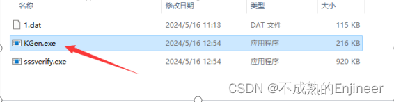 Rsoft软件安装教程-CSDN博客