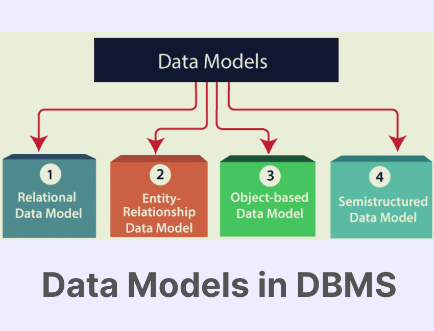 DBMS 中的数据模型_dbms数据模型-CSDN博客