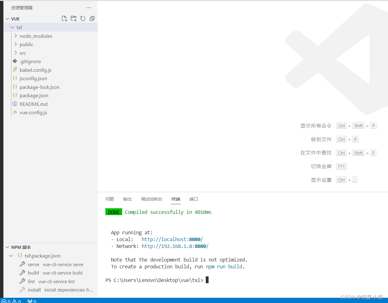 vscode 运行VUE项目 没有出现 npm脚本_vue3项目npm脚本的选项怎么没有了-CSDN博客