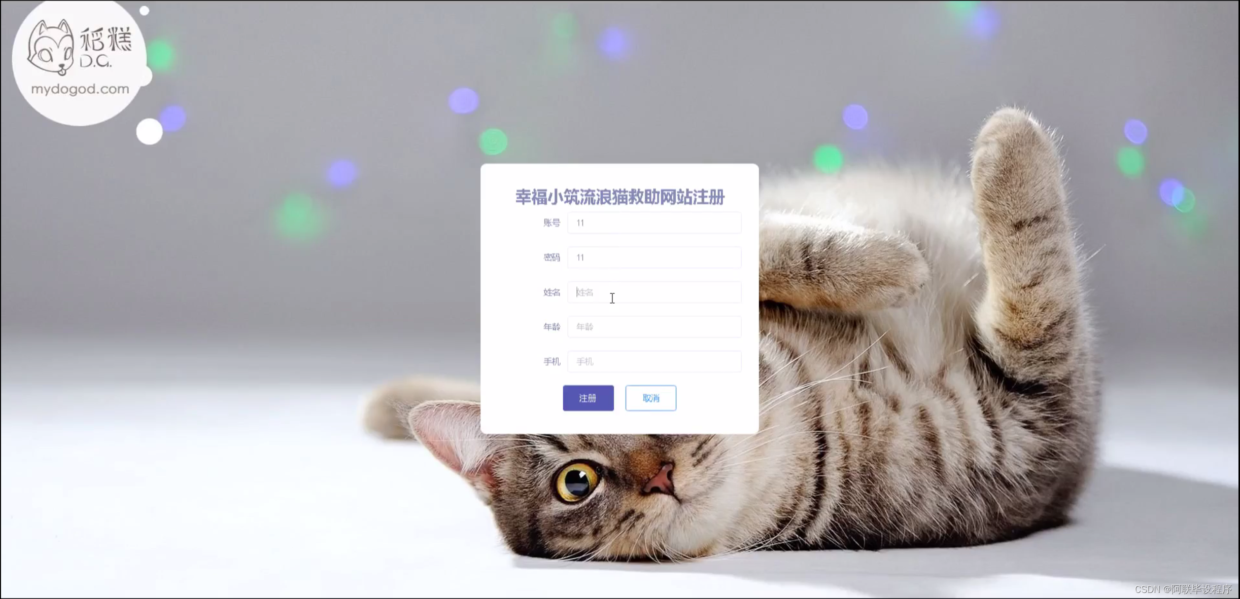 Java计算机毕业设计（附源码）幸福小筑流浪猫救助网站（ssmmysqlmavenlw文档）街头流浪猫喂食java开源 Csdn博客 