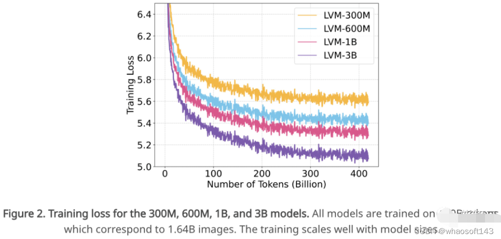 Large Vision Models-CSDN博客