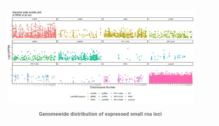 一个逆天的small Rna Seq数据挖掘神器 Csdn博客