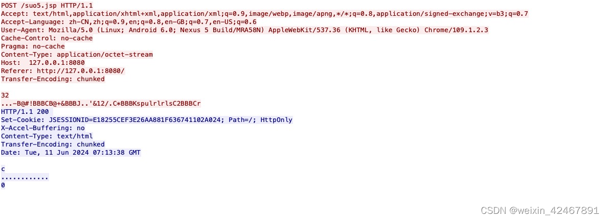 suo5流量分析-CSDN博客