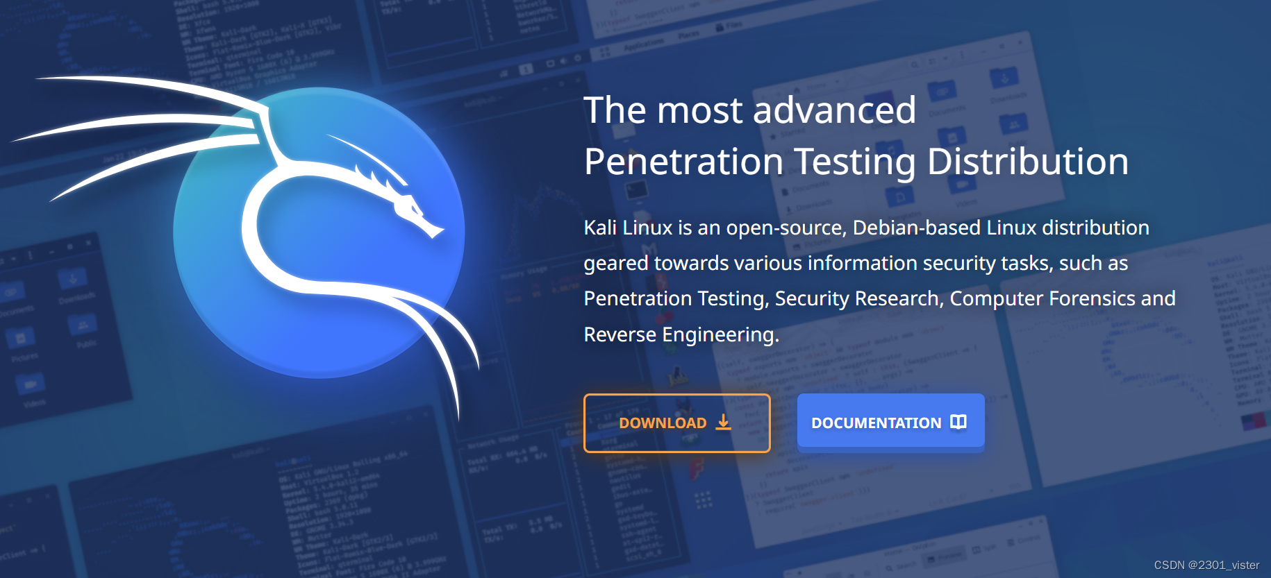 Kali Linux安装与配置（新手向）_kali安装版本选择什么-CSDN博客