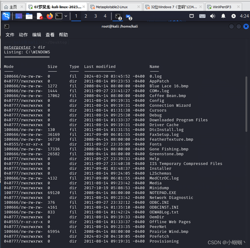 在Kali中使用MSFPC生成被控端并进行远程控制-CSDN博客