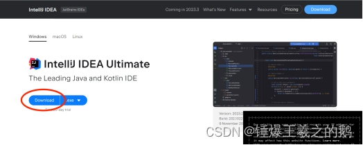 JDK11+IDEA安装+第一个简单java程序测试-CSDN博客