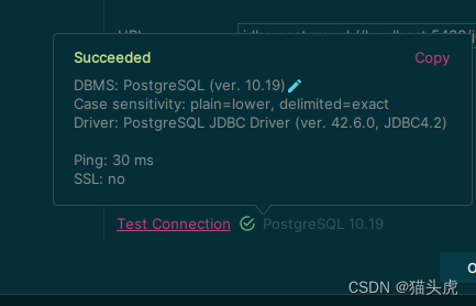 如何使用IDEA连接PostgreSQL数据库：从新手到高手的全面指南_idea配置数据库驱动程序 org.postgresql.driver-CSDN博客