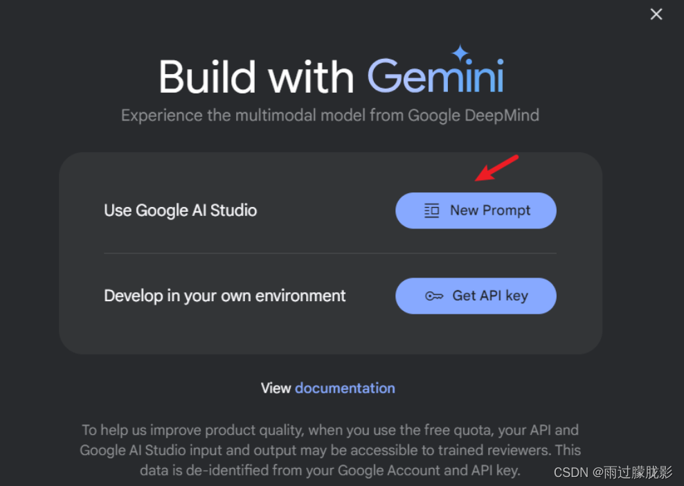 谷歌最强大模型Gemini 1.5 Pro免费开放了，附详细流程！_谷歌模型登入-CSDN博客