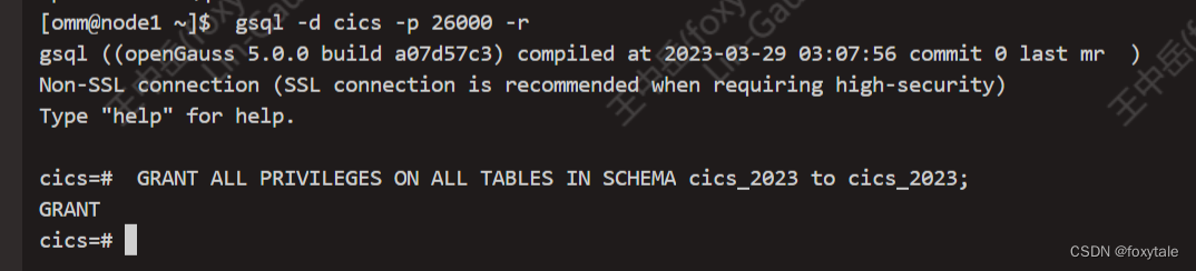 PG（openGauss）登录使用指定schema_gsql 指定schema-CSDN博客
