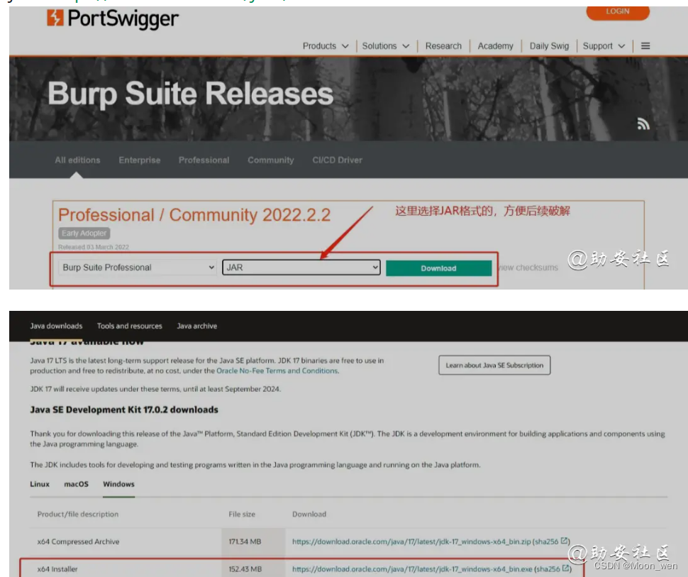 burd suite下载及安装_bursuite下载-CSDN博客