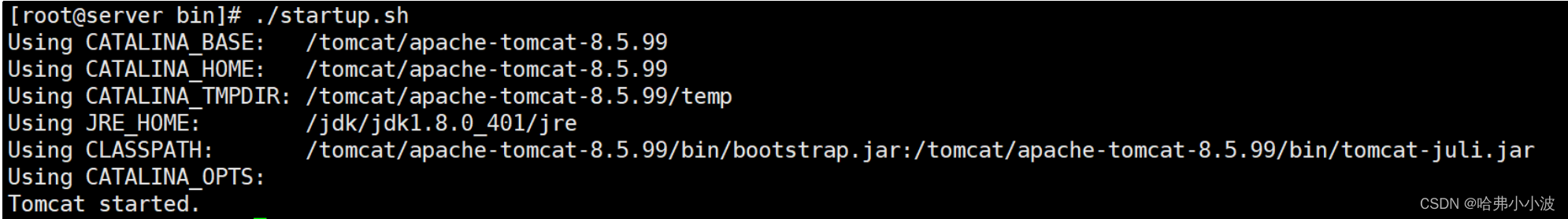linux-Tomcat8.5.99安装与配置_tomcat 8.5.99-CSDN博客