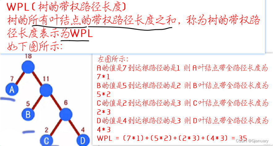 树带权路径长度WPL以及哈夫曼树（最优二叉树）_带权路径长度wpl怎么计算-CSDN博客
