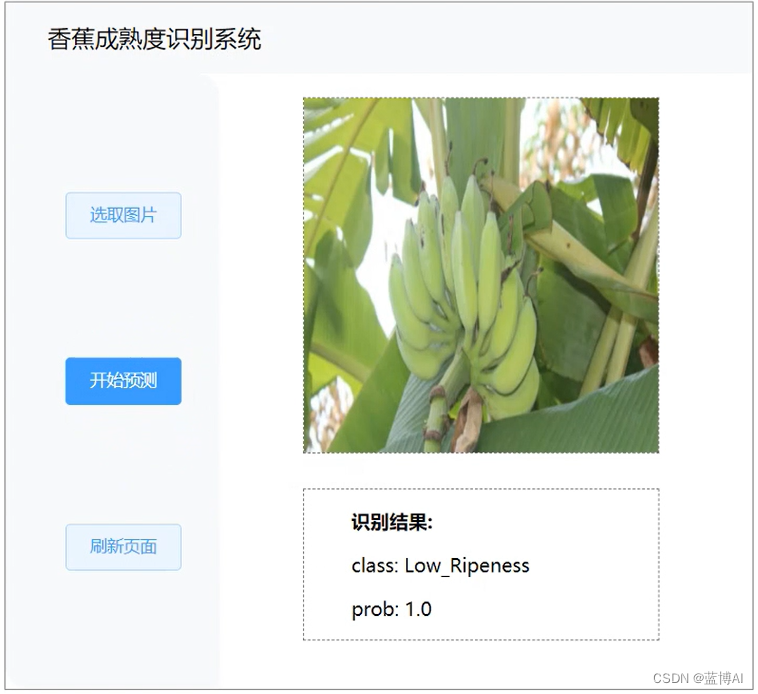 基于卷积神经网络的香蕉成熟度识别(pytorch框架)【python源码ui界面前端界面功能源码详解】香蕉识别python项目代码 Csdn博客