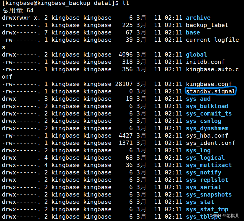 人大金仓 Kingbase命令行基础部署+主从_kingbase 主从复制-CSDN博客