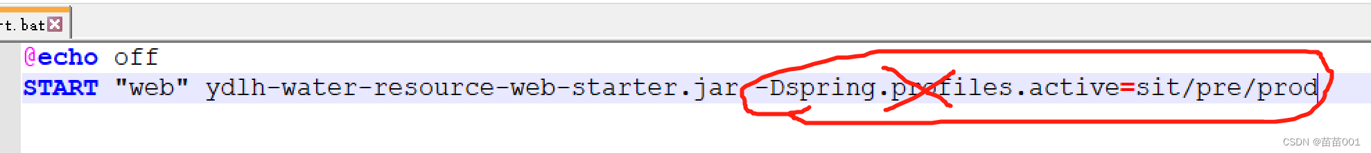 【java】Springboot项目启动报错 maxActive报错_maxactive can't not set zero-CSDN博客