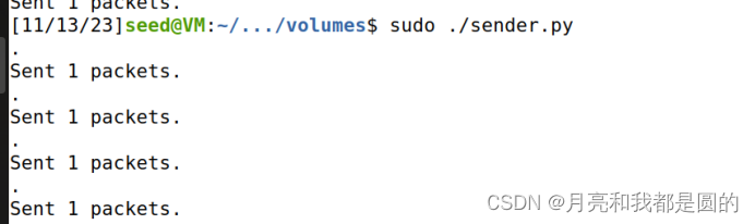 网络攻防--嗅探与欺骗_sniff and spoof python代码改变原地址-CSDN博客