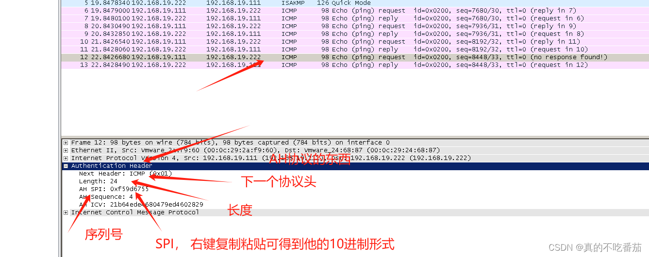 网络安全实验 网络安全协议的应用（SSL，Ipsec）_ipsec 抓包实验-CSDN博客