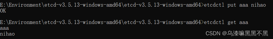 Windows系统下安装etcd（保姆级教程！！）_etcd windows-CSDN博客