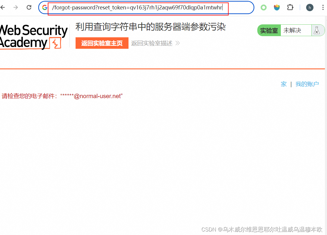 portswigger靶场API测试通关（上）_portswigger api-CSDN博客