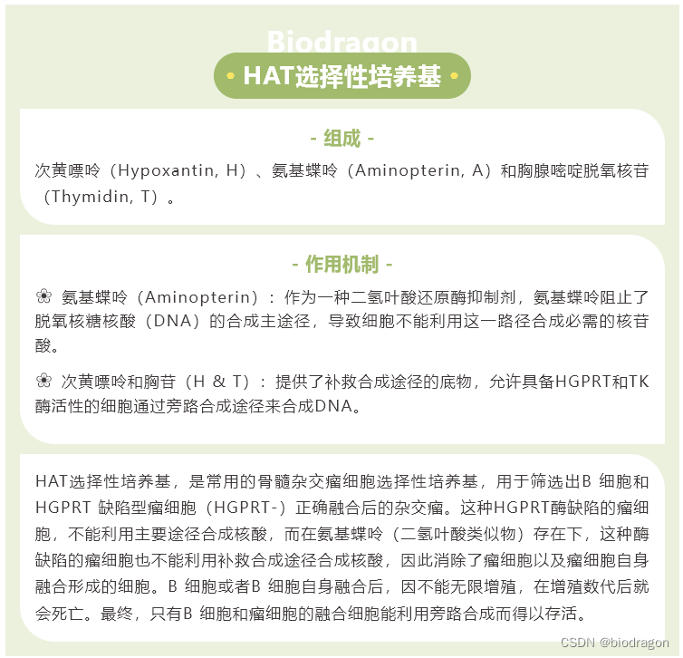 博奥龙HT/HAT选择性培养基，您的信任之选_ht培养基是选择培养基吗-CSDN博客