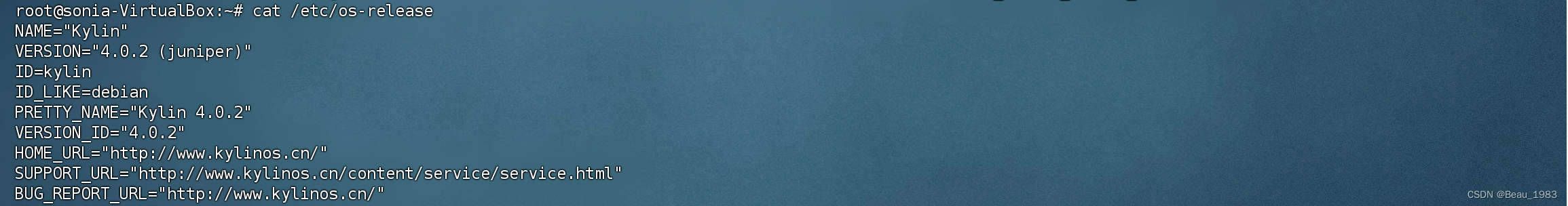 银河麒麟v4 (x88_64架构和arm架构） 离线安装docker-CSDN博客