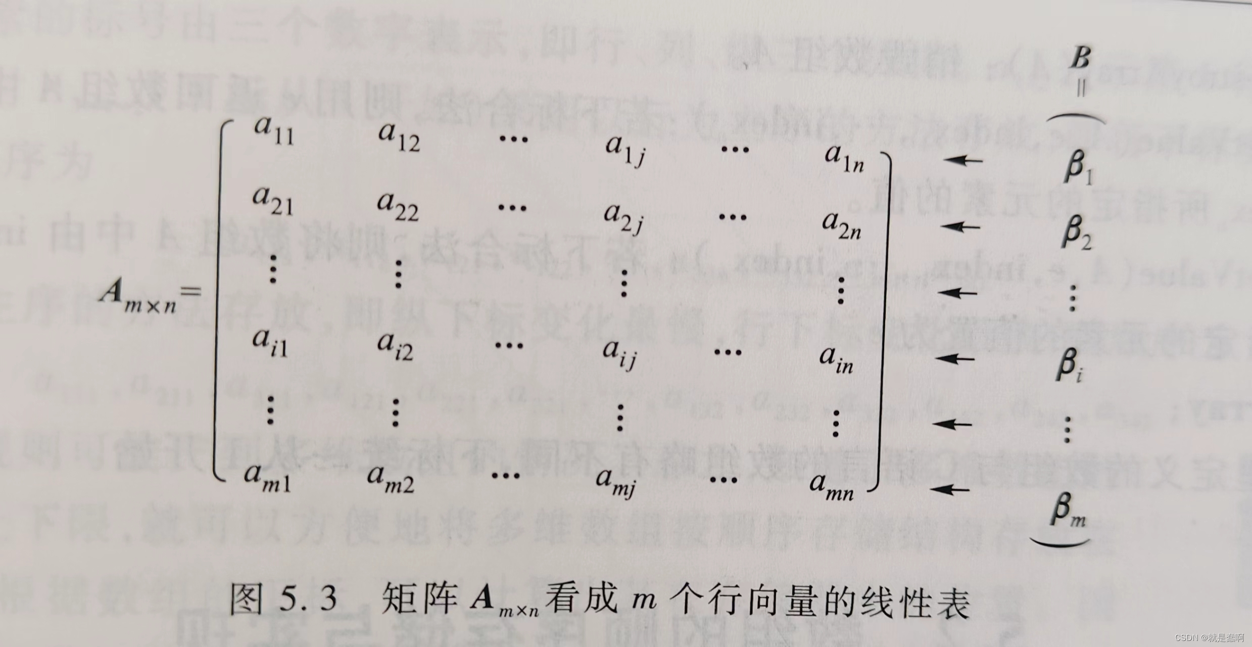 数据结构——数组什么是主序存储 Csdn博客