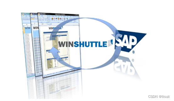 如何通过Winshuttle Query解决SAP数据提取的性能问题_winshuttle输出数据-CSDN博客