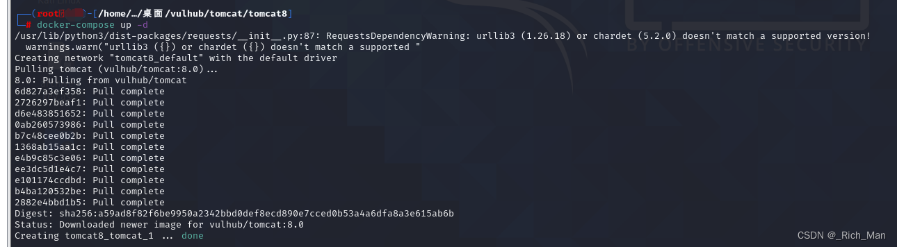 Tomcat弱口令后台部署war包getshell_tomcat部署war包getshell-CSDN博客