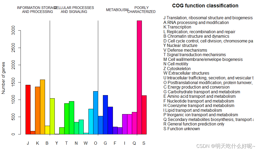 （R语言）-13-COG功能注释图的绘制_cog注释-CSDN博客