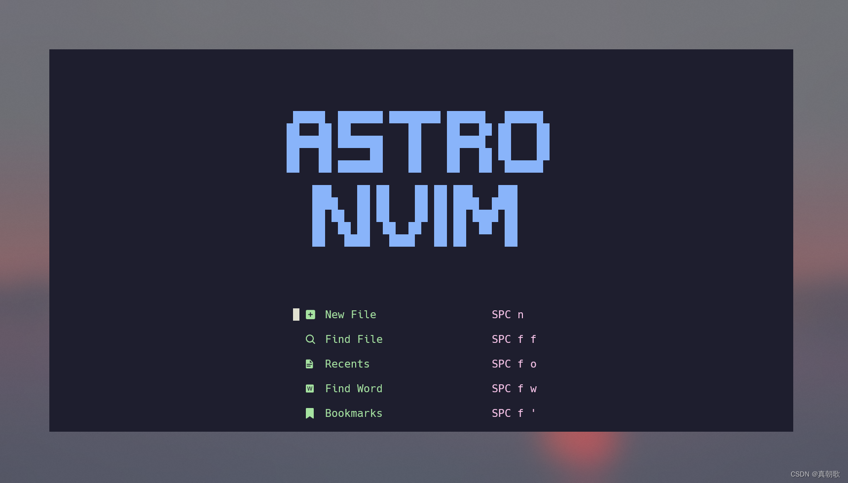 开发环境分享——AstroNvim（neovim的下载和Astronvim的配置）-CSDN博客