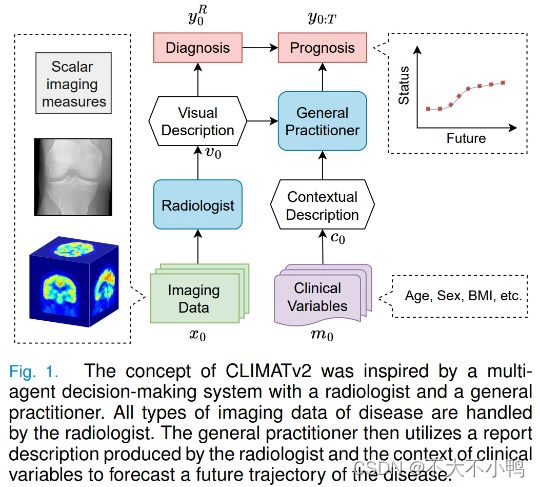 医学影像顶刊TMI速递|2024年01月(下)_肋骨分割及中心线提取-CSDN博客