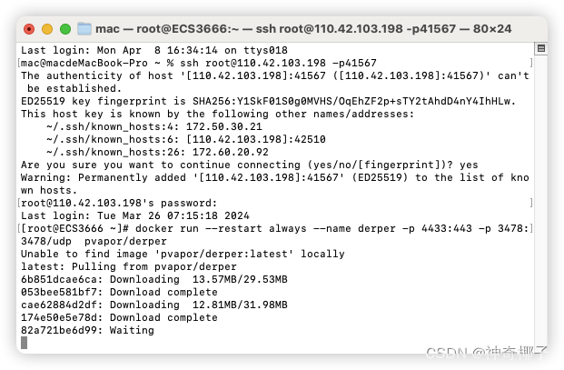 Tailscale异地组网中转derp服务器搭建(无需域名)_tailscale中转服务器搭建-CSDN博客