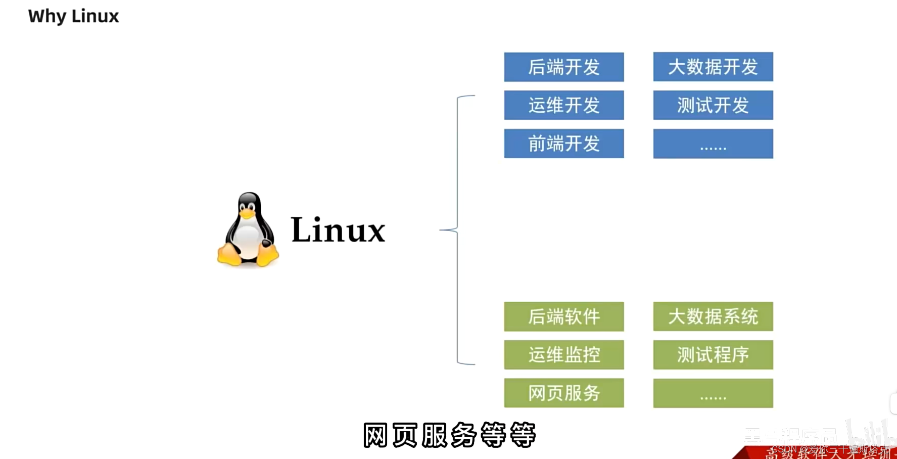 部署 Linux01后端开发，运维开发，大数据开发，测试开发，后端软件，大数据系统，运维监控，测试程序，网页服务都要在linux中进行部署 Csdn博客 